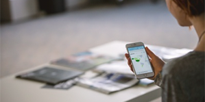 Bird Rock Systems | Making IT Better